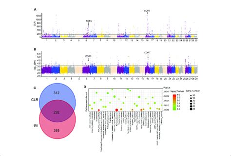 Genome Wide Selection Scan Between Yanbian And Ndama Cattle A C Download Scientific