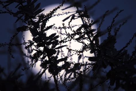 Fine Art Photography Lev L Spiro