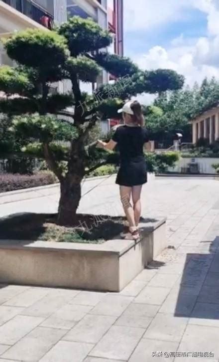 女子驾车碰断学校树枝被索赔8千，校方：树木市场价5万以上，撞断了最长的枝丫网友价格新闻