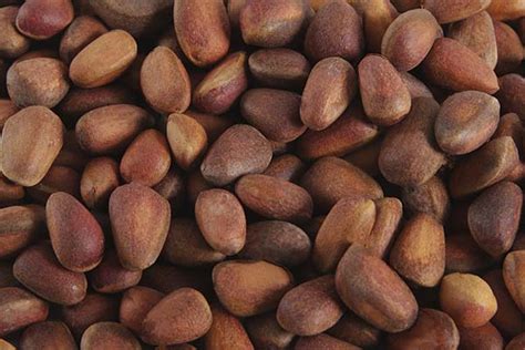 Как хранить кедровые орехи практические рекомендации