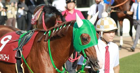 【園田競馬】兵庫ゴールドトロフィー 予想｜そらいるか🐴