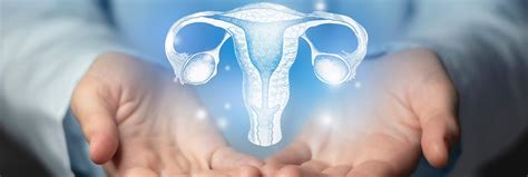 Menopausa Precoce Saiba Como Identificar E Entenda Mais Sobre Os