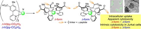 Synthesis Of Optically Pure Cyclometalated Iridiumiii Complex‐peptide