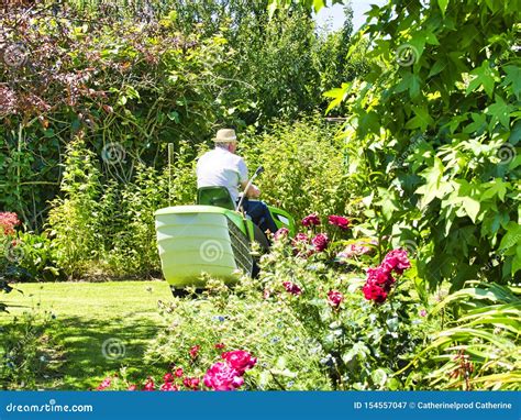 Senior Man Driving A Tractor Lawn Mower In Garden With Flowers Stock