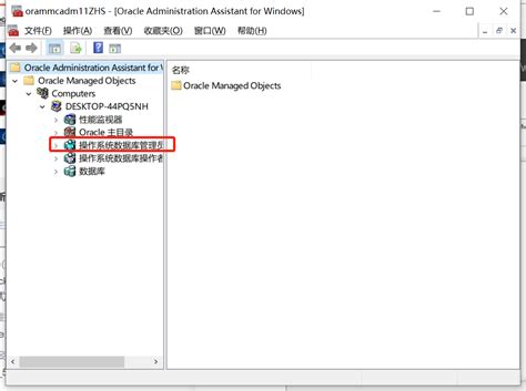 windows10家庭版系统安装Oracle后解决ORA 01031 insufficient privileges问题 一个女的 博客园