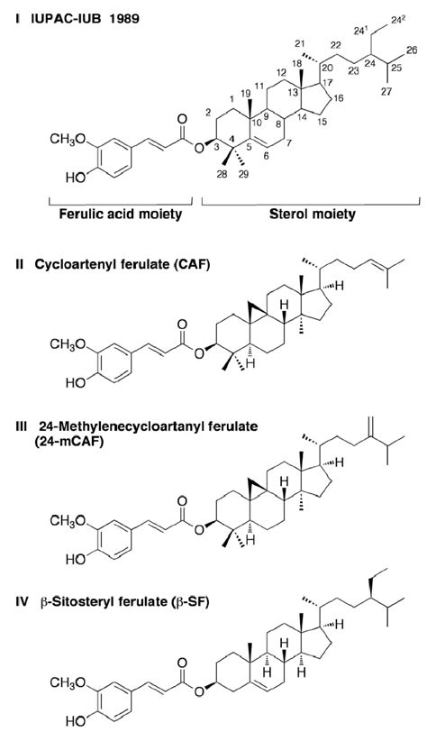 Chemical Structure Of Phytosteryl Ferulates Structural Nomenclature Of Download Scientific
