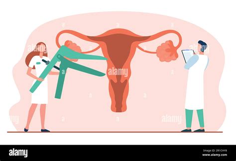 Gynecologists Examining Uterus Stock Vector Image And Art Alamy