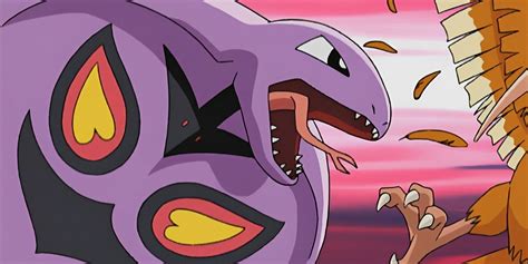 Team Rocket S Best Pokemon