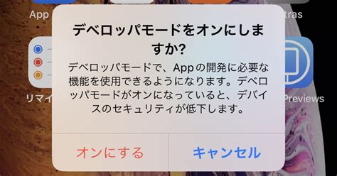 Iosのデベロッパーモードについて 現役のプログラマーが書くプログラミング情報