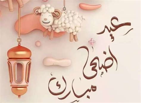 أجمل رسائل التهنئة في عيد الأضحى المبارك «كل عام وأنت إلى الرحمن أقرب