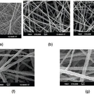 SEM Image Of The Pure PAN Electrospun Nanofibers Membrane A 8 PAN