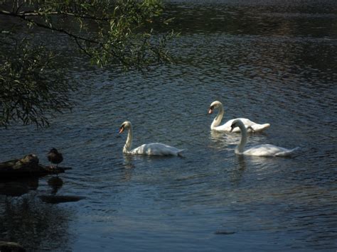 The Big Loop Gobikingca