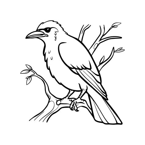 Premium Vector Crow Coloring Pages Crow Bird Outline Vector For