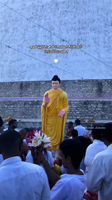 පූජනීය රුවන්වැලි මහ සෑයට පූජා කළ අසිරිමත් මල් සෑය 🙏🙏🙏 දැකබලා අනුමෝදන්