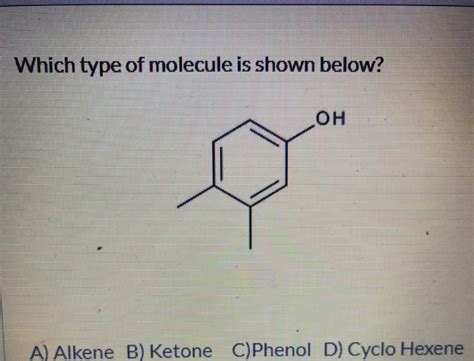 Solved Ch₃ H3cn Ch3 What Type Of Amine Is Shown In This