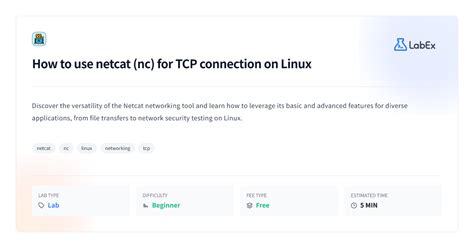 How To Use Netcat Nc For Tcp Connection On Linux Labex