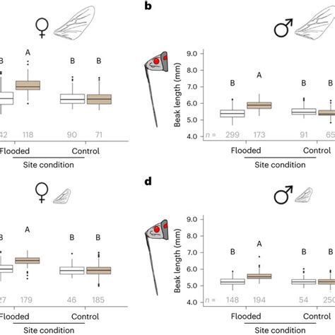 Spatial Sorting Promotes Shifts In Soapberry Bug Beak Lengths Ad Box