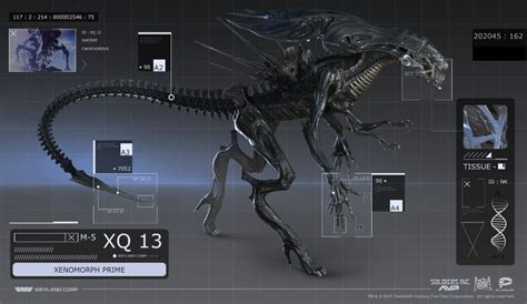 Artstation Xenomorph Queen Vladimir Kravchenko Xenomorph Predator