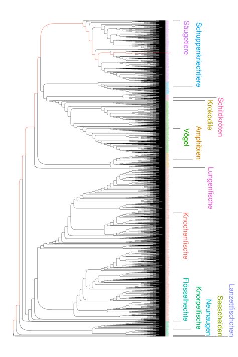 Nhm Vienna Official Github Page