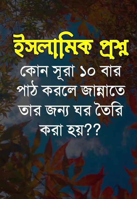 কোন সূরা ১০ বার পাঠ করলে জান্নাতে তার জন্য ঘর তৈরি করা হয়islam
