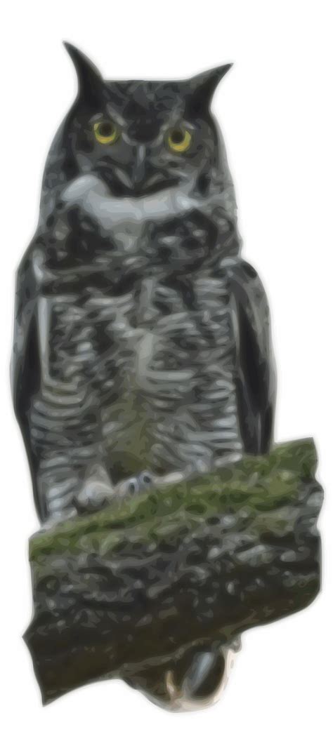 Bleach Bypass Clipart 19 Free Cliparts Download Images On Clipground 2025