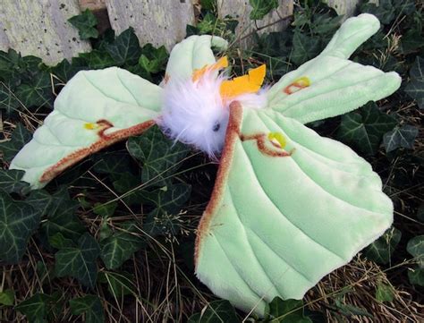 Plush Luna Moth