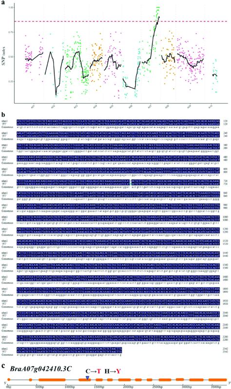 Identification Of The Nhm1 Candidate Gene A Snp Index Plot Of 10