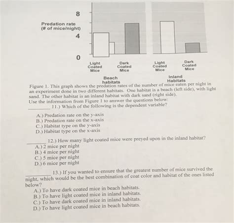 Solved This Graph Shows The Predation Rates Of The Number