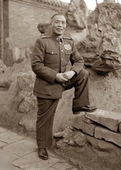 李宗仁回國見到沈醉，確定蔣介石曾要暗殺他，德公直接說11個字 每日頭條