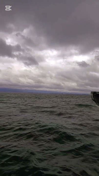 টাংগুয়ার হাওড় যাওয়ার সিজন আসছে। 🌿💝৷ Ytshorts