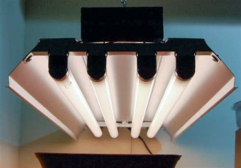 The 5 Best T5 Grow Lights To Buy Best LED Grow Lights Info