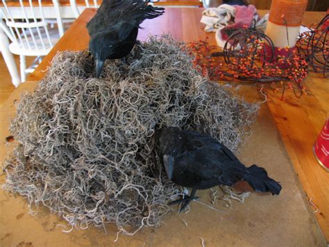 Crows Nest For Halloween Decor