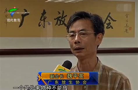访协会副会长、常务副秘书长魏平英