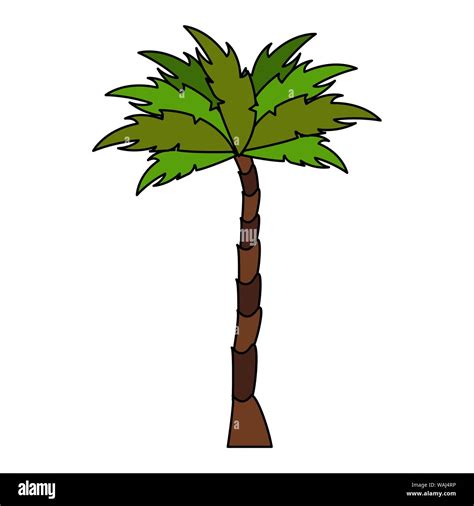 Nature Palm Tree Environment Cartoon Stock Vector Image And Art Alamy