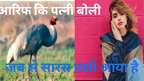 सारस पक्षी अपने दोस्त आरिफ के साथ हमेशा क्षेत्र क्षाया बनकर रहता है। यह