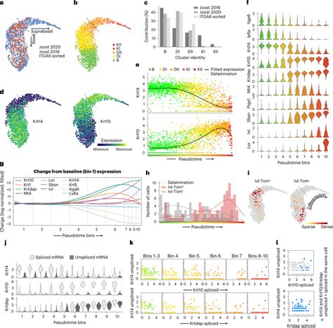 Scrna Seq Trajectory Analysis Of Epidermal Stem Cell And Committed Download Scientific Diagram