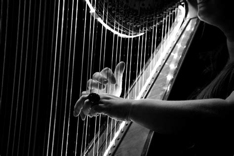 Harp Wallpapers Wallpaper Cave