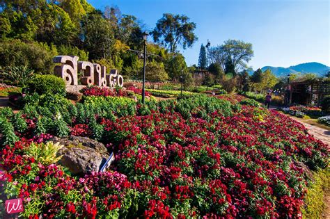 Welovetogo สวน 80 ปี สถานีเกษตรหลวงอ่างขาง จ เชียงใหม่