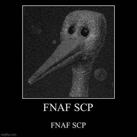 My Favorite Scp Rscp