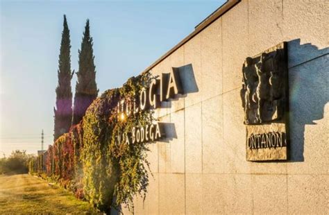 In Conversation With Elana Abt Wine Director Sommelier And Wine Educator
