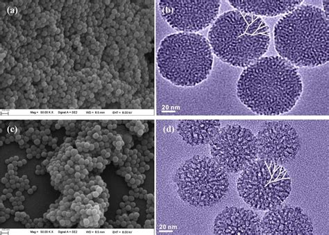 Low Magnification FESEM And High Magnification TEM Images Of A B