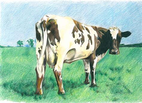 Atom Heart Mother By Babettevr On Deviantart