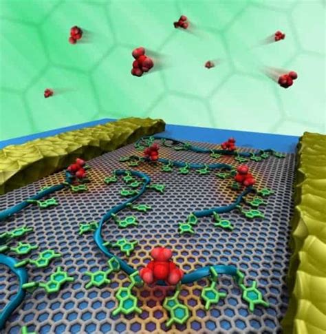 Dna Helps Turn Graphene Into A Chemical Sensor Physics World