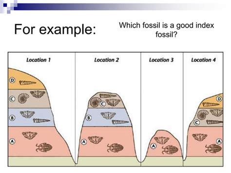 Fossils And Rock Layers Pptx Geology Science