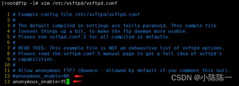 Linux中搭建FTP服务器匿名用户访问本地用户访问虚拟用户访问详细解答安装配置步骤 linuxftp匿名用户和本地用户登录步骤