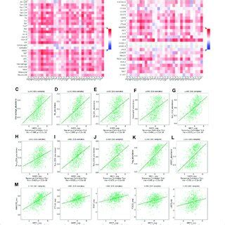 The Relationship Analysis Between NRP Expression And Tumor Immune Download Scientific Diagram