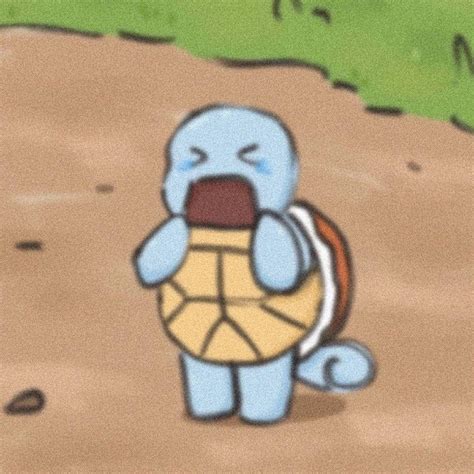 杰尼龟头像 知乎