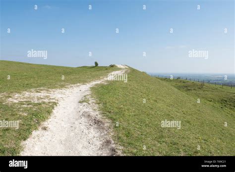 Path On The Iron Age Hill Fort On St Roches Hill Called The Trundle
