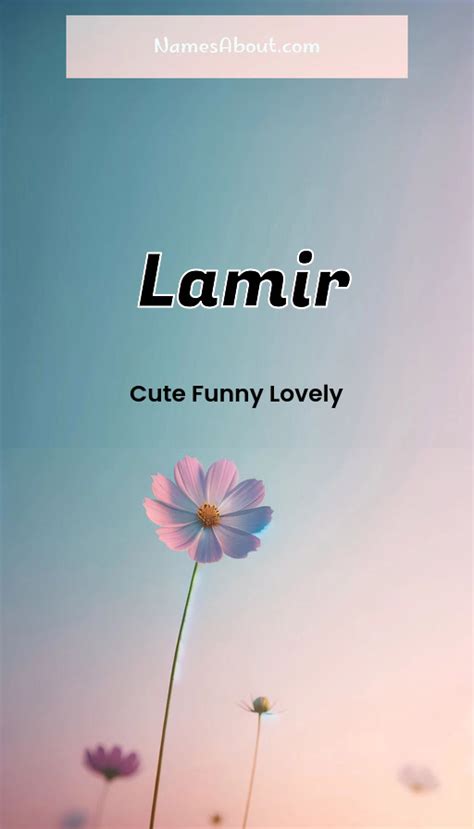 Lamir Name Meaning And Origins Nicknames Sibling Ideas