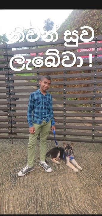 නිවන් සුව ලැබේවා සුදු මැණික Youtube